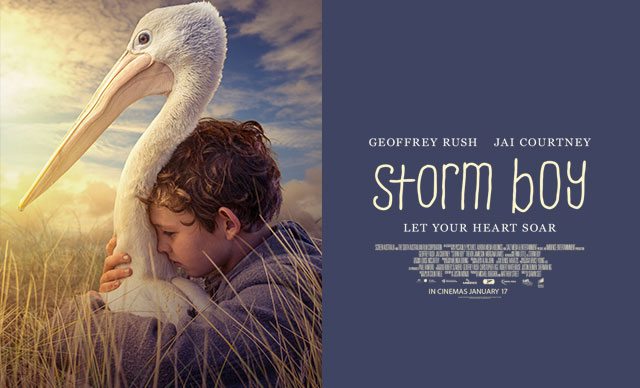 STORM BOY with StudentCard